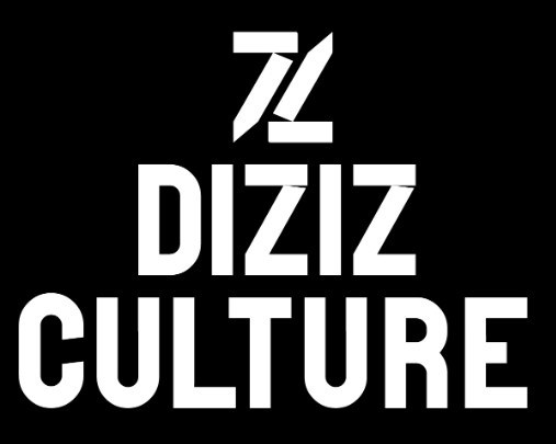 DIZIZ CULTURE